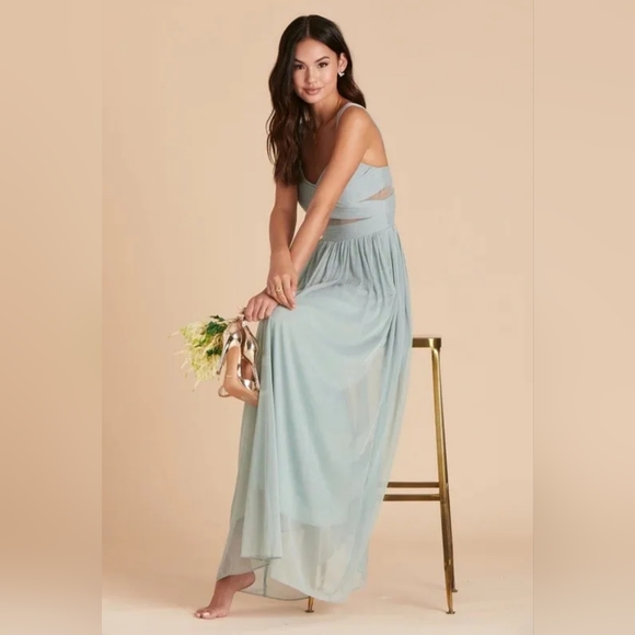 Birdy Grey | Dresses | Birdy Grey Nwt Elsye Maxi Dress In Mesh Sage ...